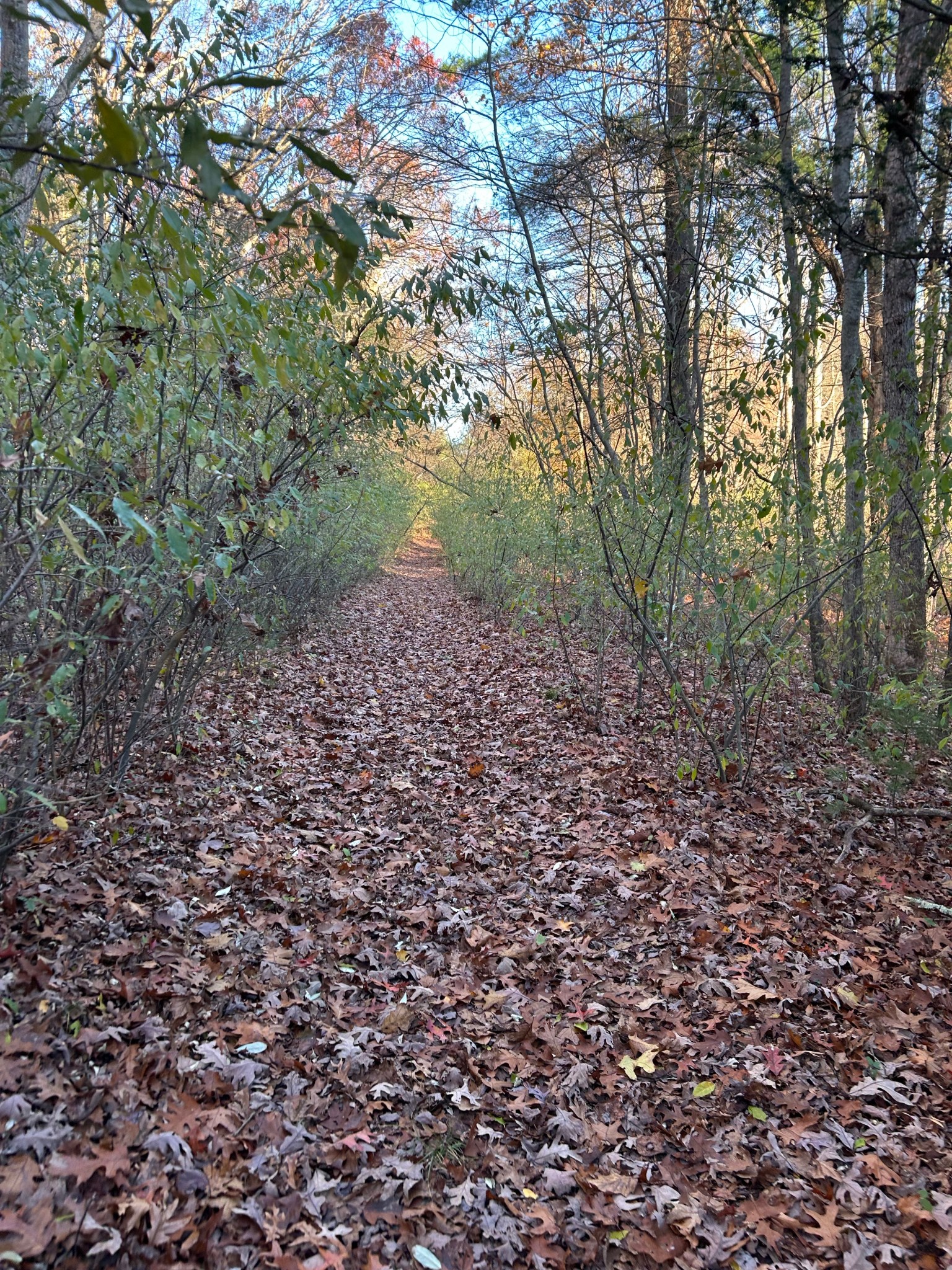 Fort Wildlife Refuge – Rhode Island Hiking