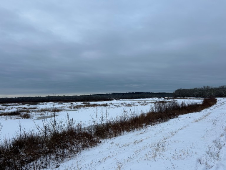 Great Swamp Management Area – Rhode Island Hiking